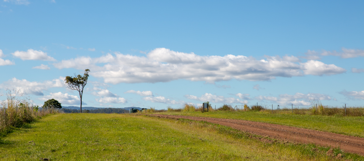 Why you should take a Forage Farms tour